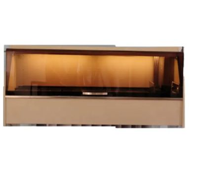 Automatic Linear Tissue Processor | Top Manufacture In India